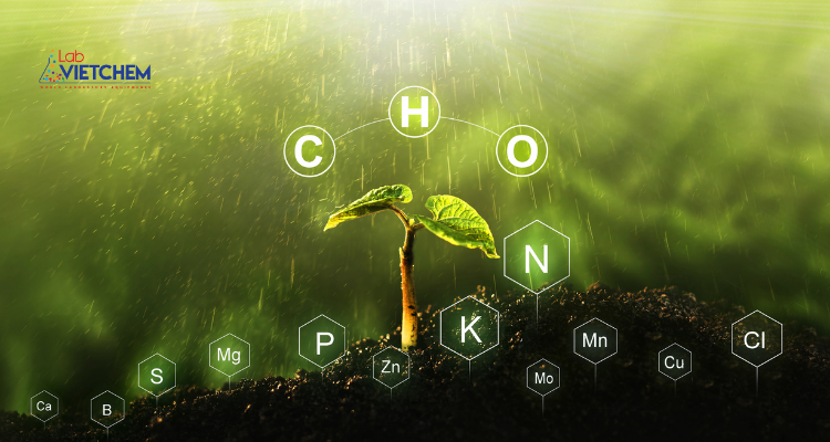 Phi kim là gì? Các tính chất nổi bật và ứng dụng điển hình