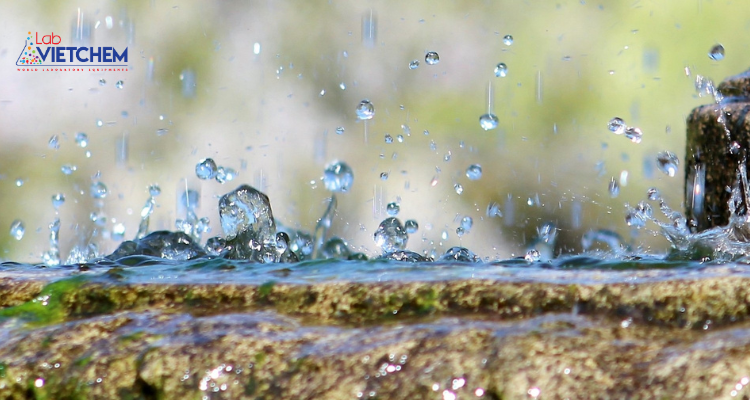 Mưa axit là gì? Tác hại và biện pháp khắc phục hiệu quả